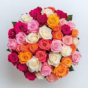 Amazon.com : GlobalRose 50 Assorted Roses Bouquet – Responsibly Sourced ...