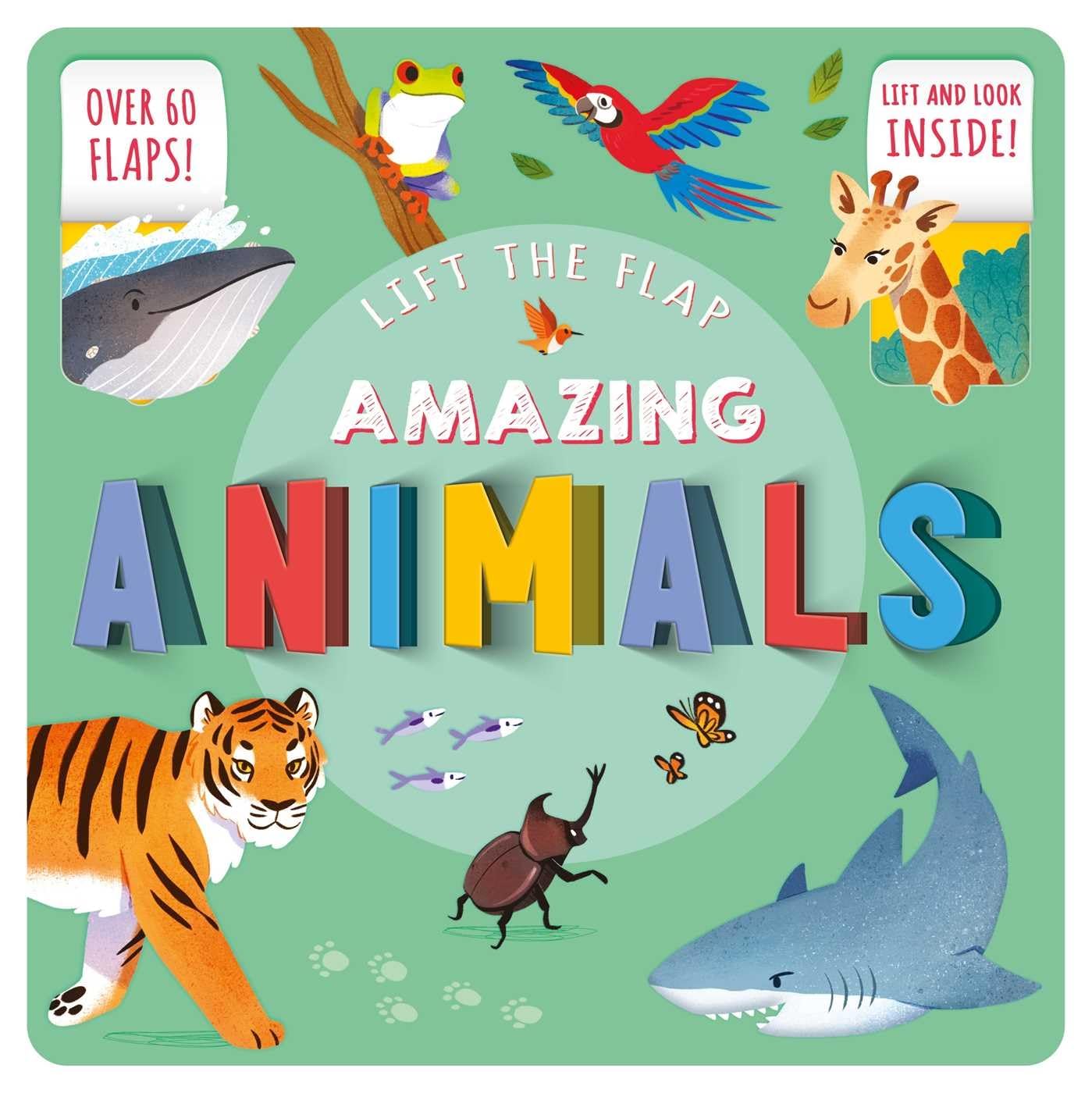Amazing Animals: Lift-the-Flap Fact Book: IglooBooks, Pang, Bonnie ...