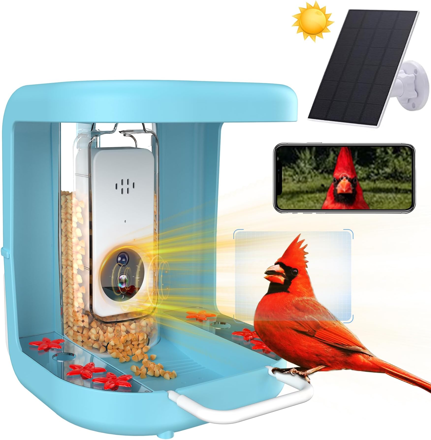 Amazon.com : Bilantan BirdHi Ultra- Smart Bird Feeder with Camera Solar ...