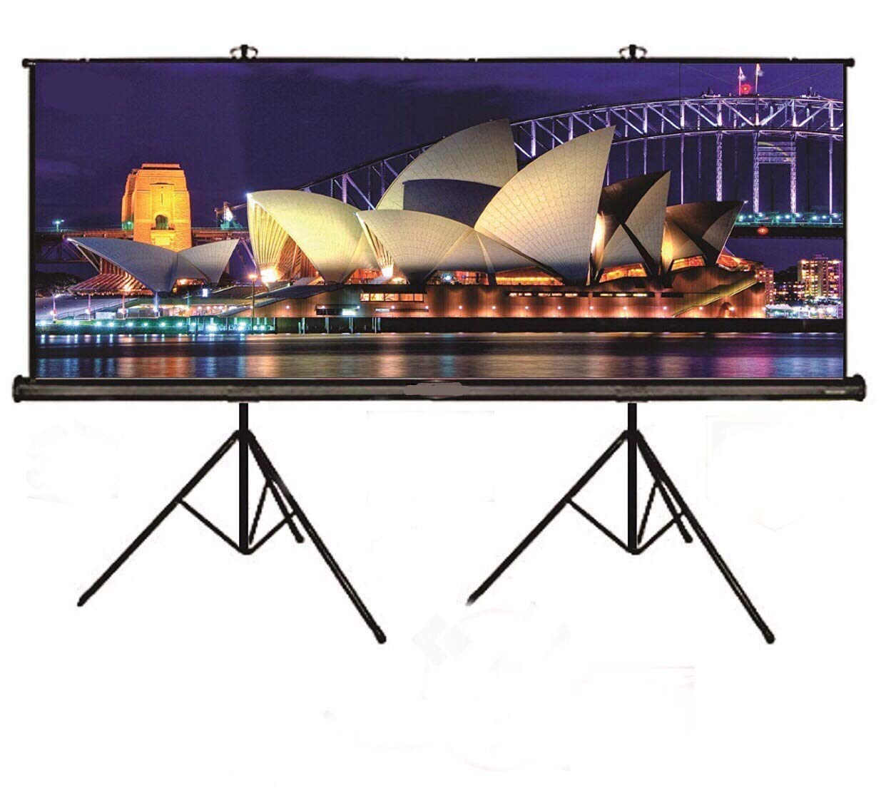 MOIZ Tripod Stand Projector Screen 10 Ft. (Width) x 8 Ft. (Height ...