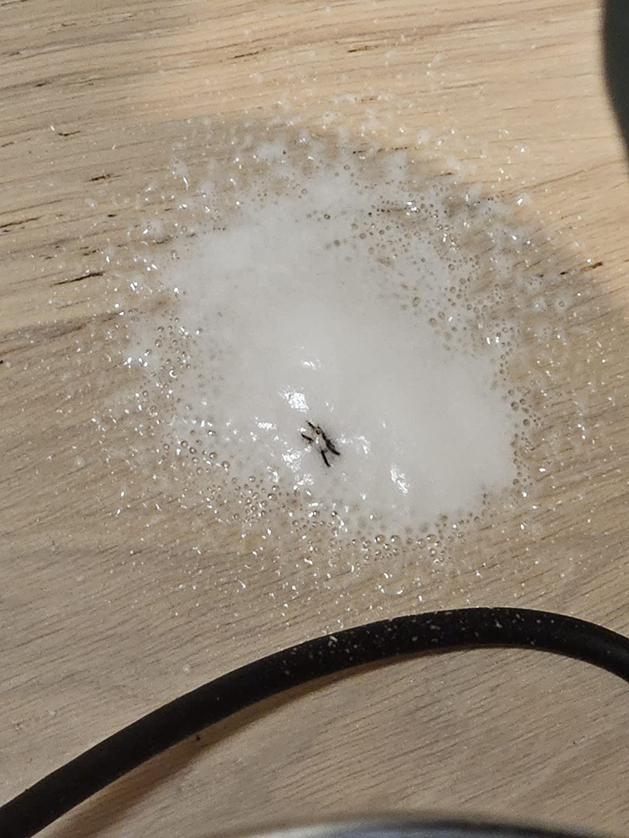 $2/mo - Finance Ortho Home Defense Insect Killer for Cracks & Crevices ...