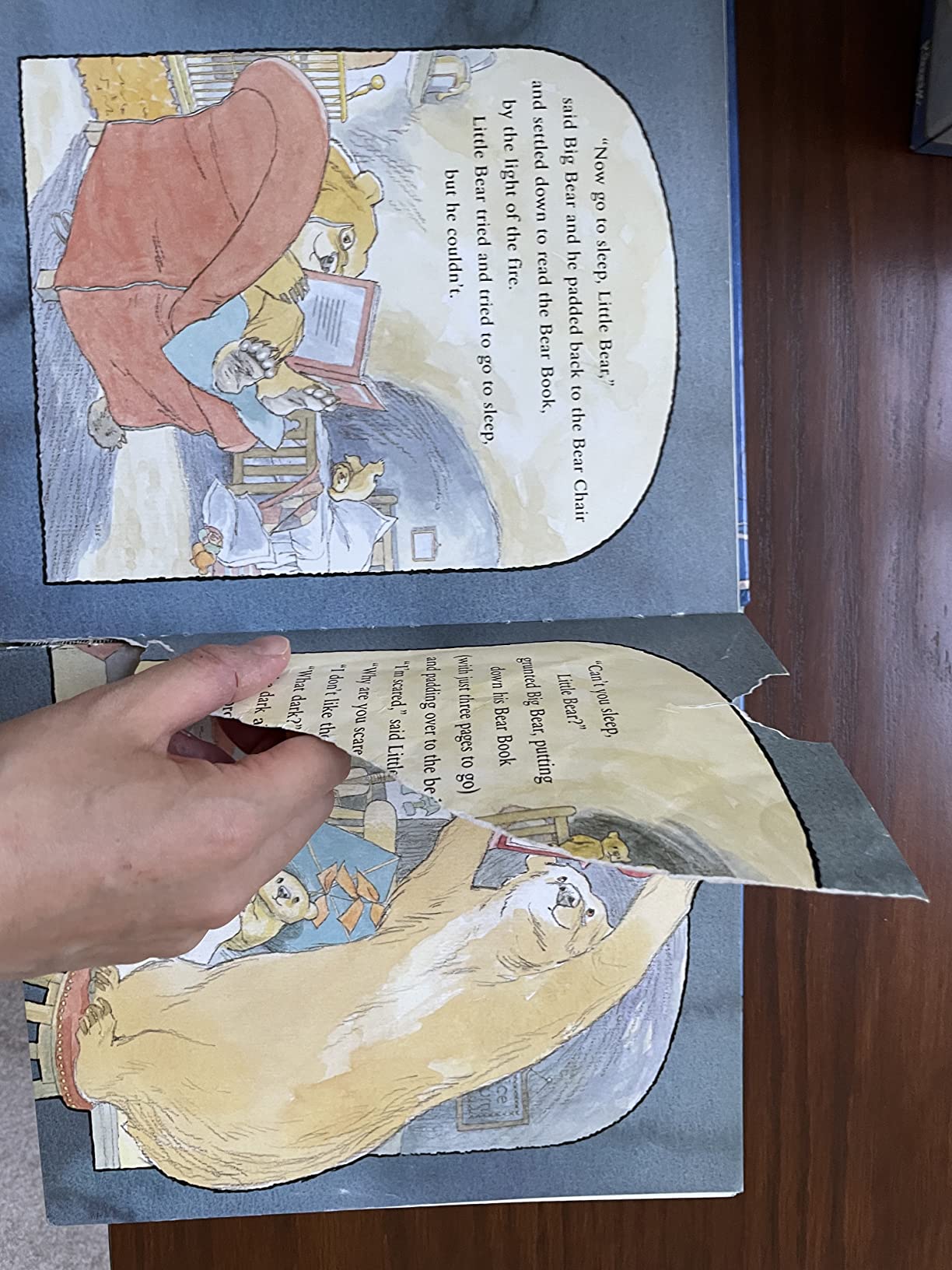 The Little Bear Stories: Martin Waddell: 9780760796221: Amazon.com: Books