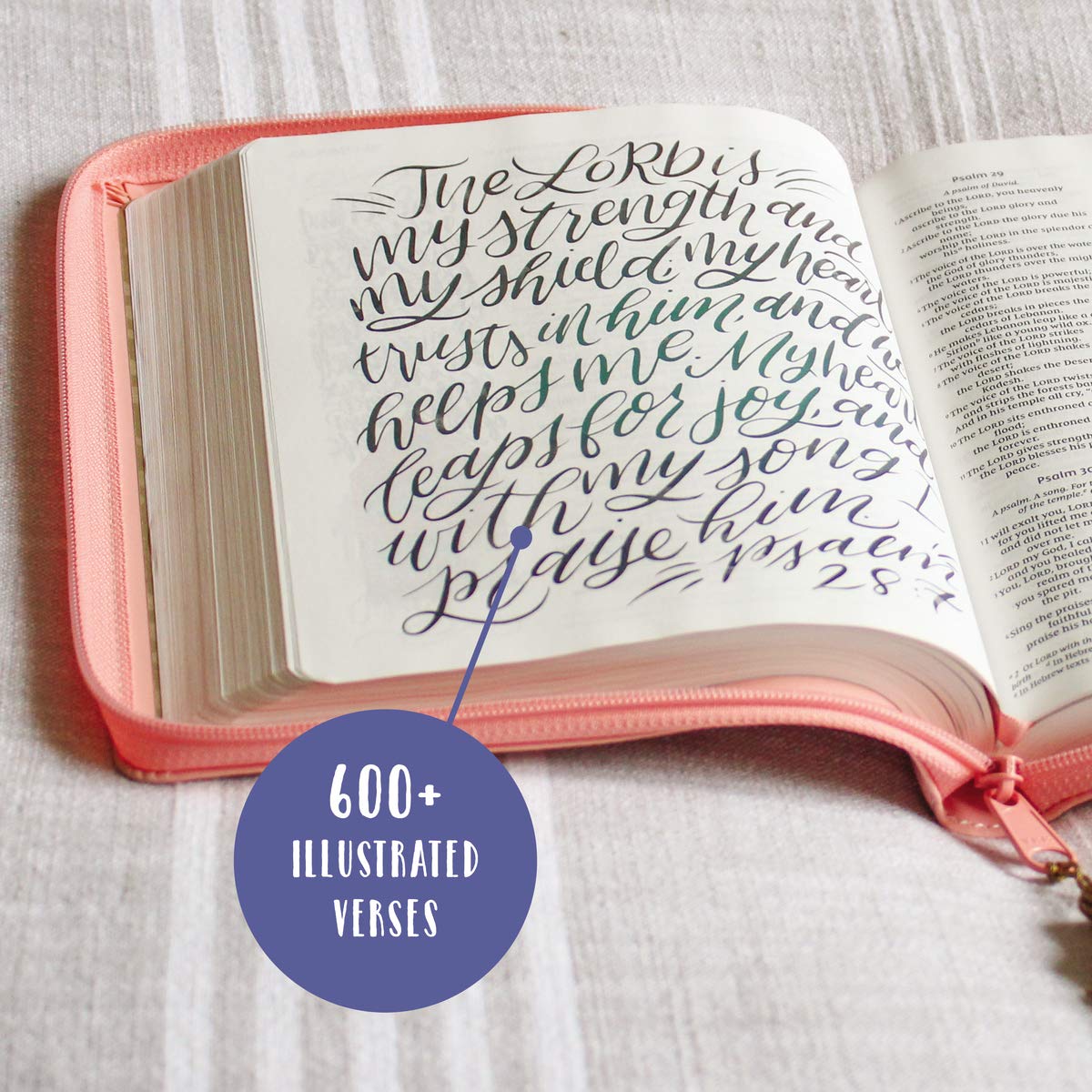 Snapklik.com : NIV, Beautiful Word Bible For Girls, Updated Edition ...