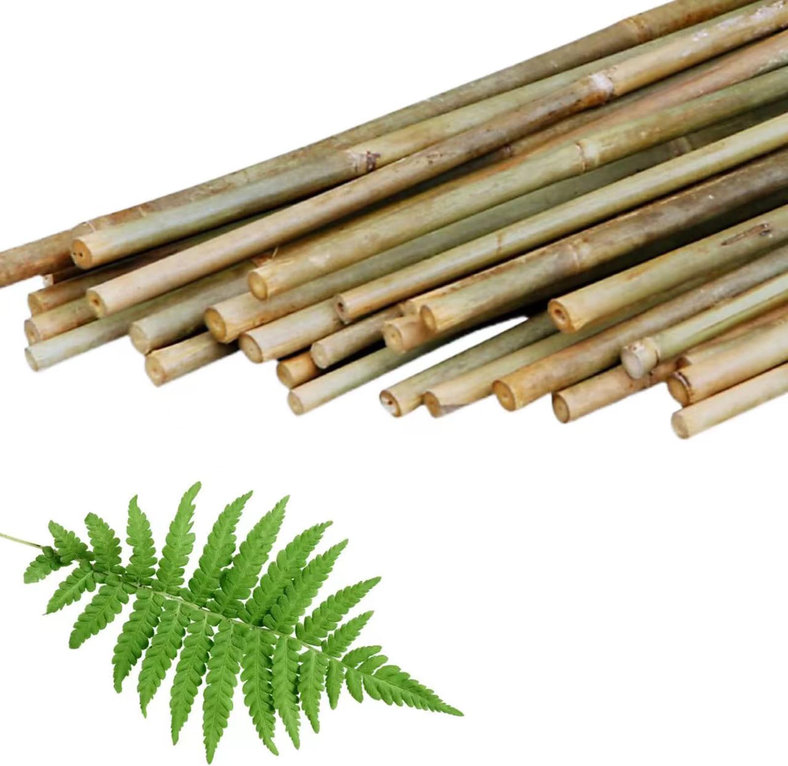 Amazon.com : Solid Oak Tomato & Tree Stakes (Bundle of 9) 1" x 1" x 3ft ...