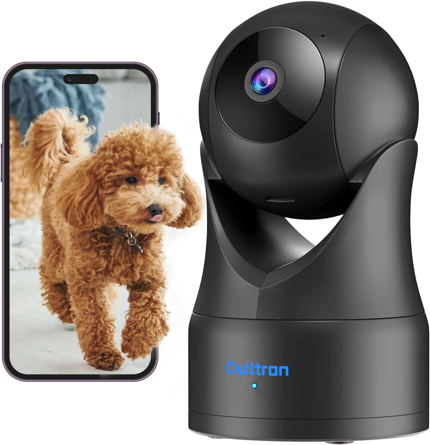 Amazon.com : Kasa Smart 2023 New Indoor Pan-Tilt Security Camera, 1080p ...