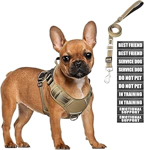 Amazon.com : MOOGROU Tactical Dog Harness and Leash Set Small Sized Dog,Heavy Duty No Pull ...