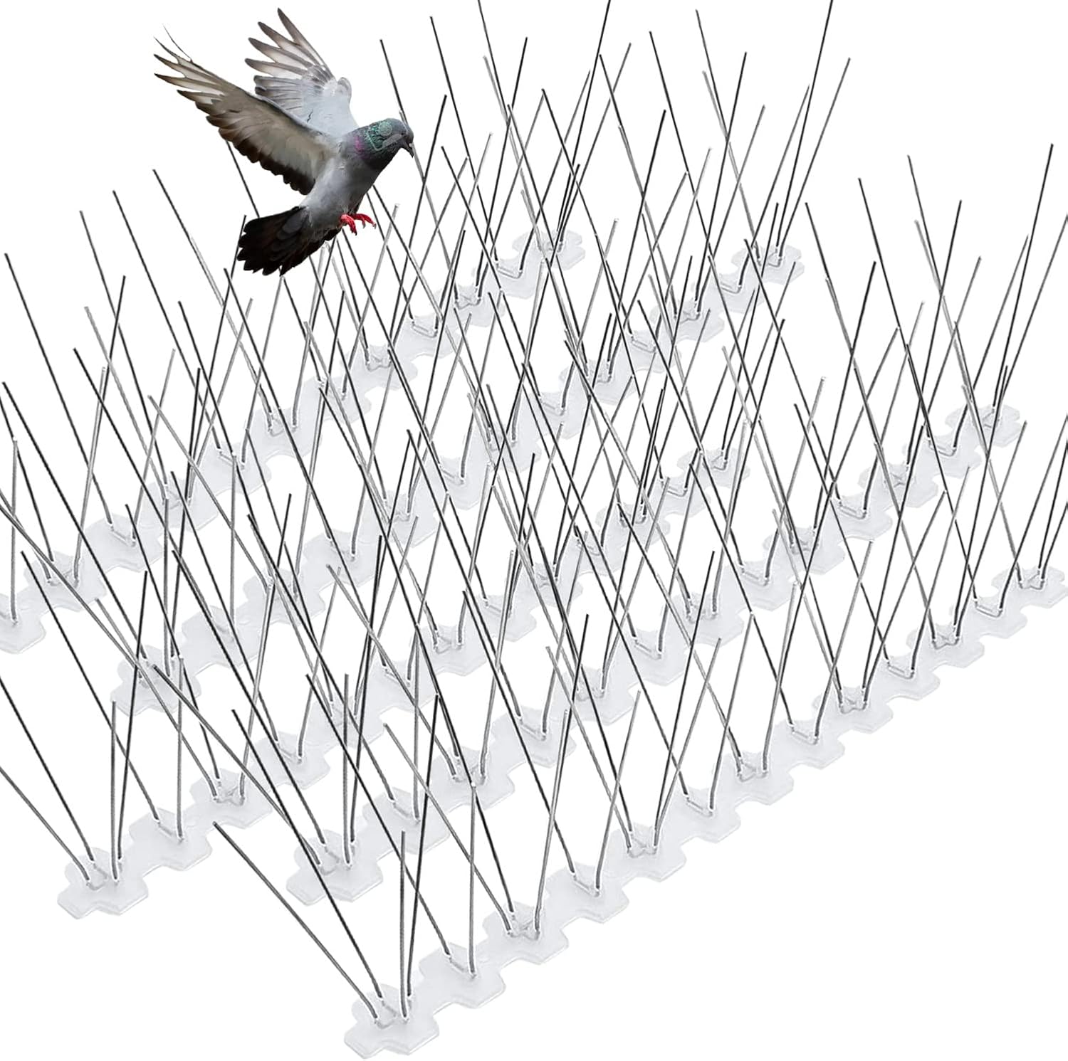 Amazon.com : Valibe Bird Spikes for Pigeons Small Birds Stainless Steel ...