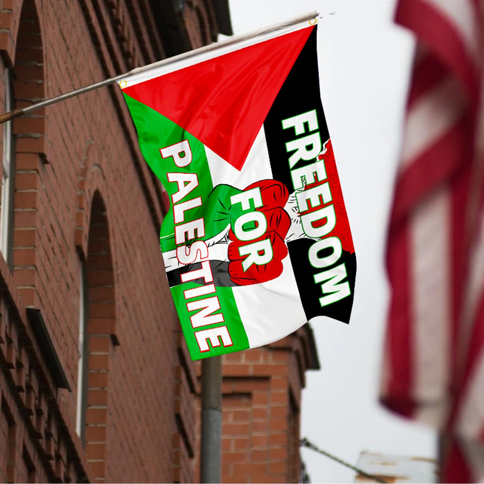 Large Palestine Flag 3x5Ft Vivid Color Palestinian Flag Fade Resistant ...