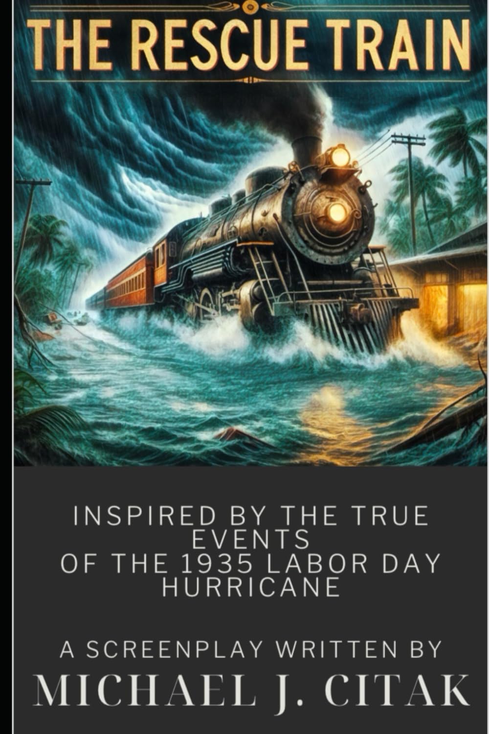 Amazon.com: The Rescue Train: 9798880446834: Citak, Michael J., DeVito ...