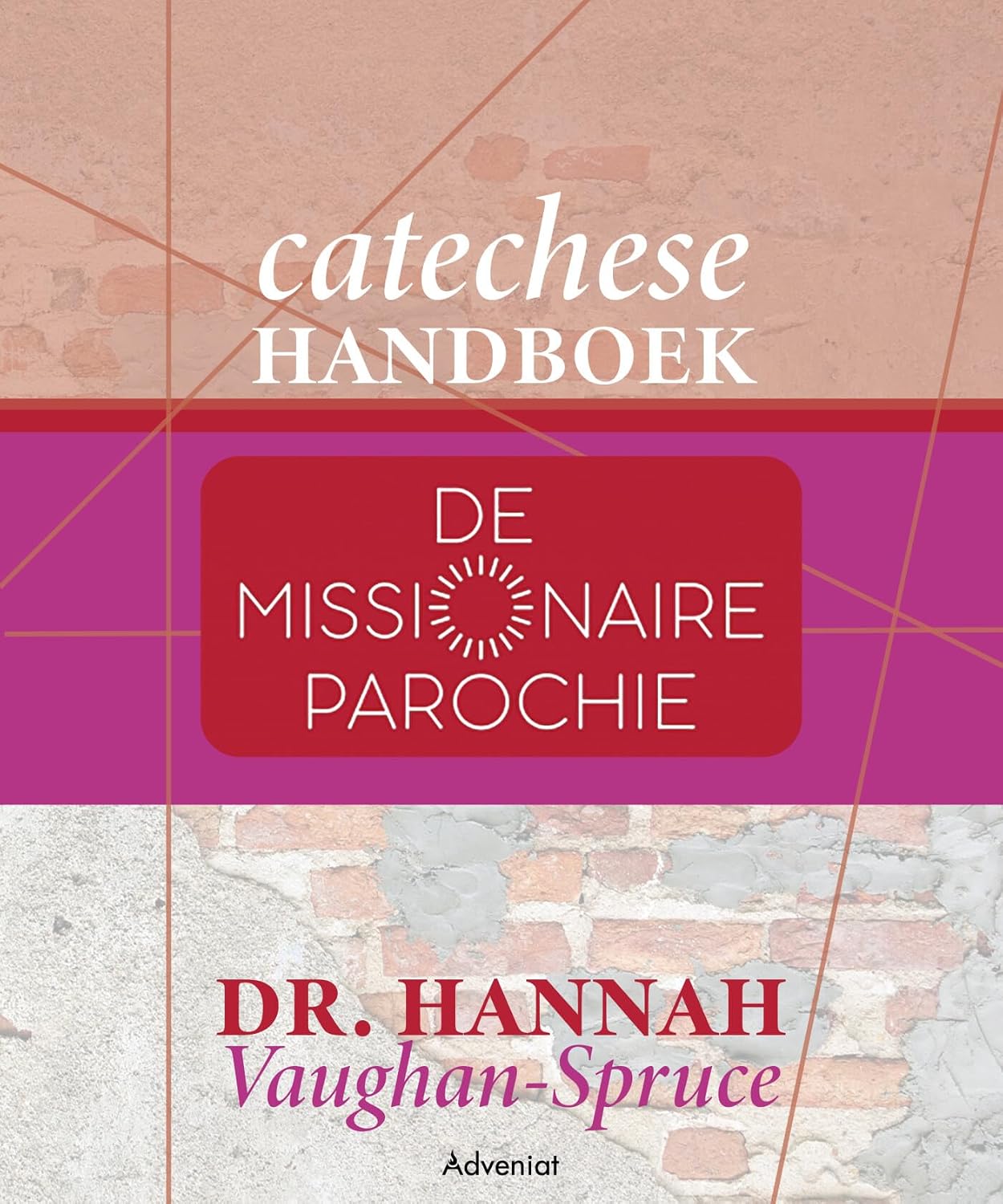 Catechese handboek missionaire parochie : Vaughan, Hannah: Amazon.de ...