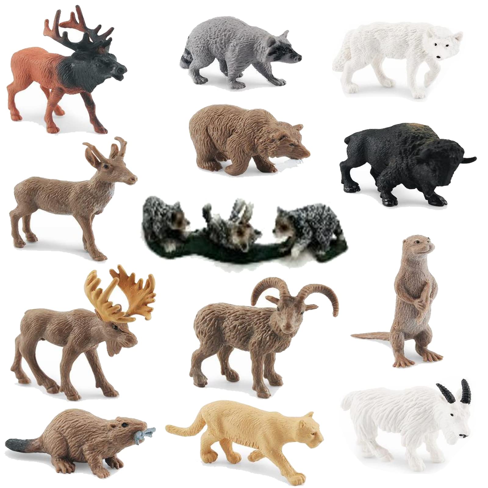 North American Forest Animals