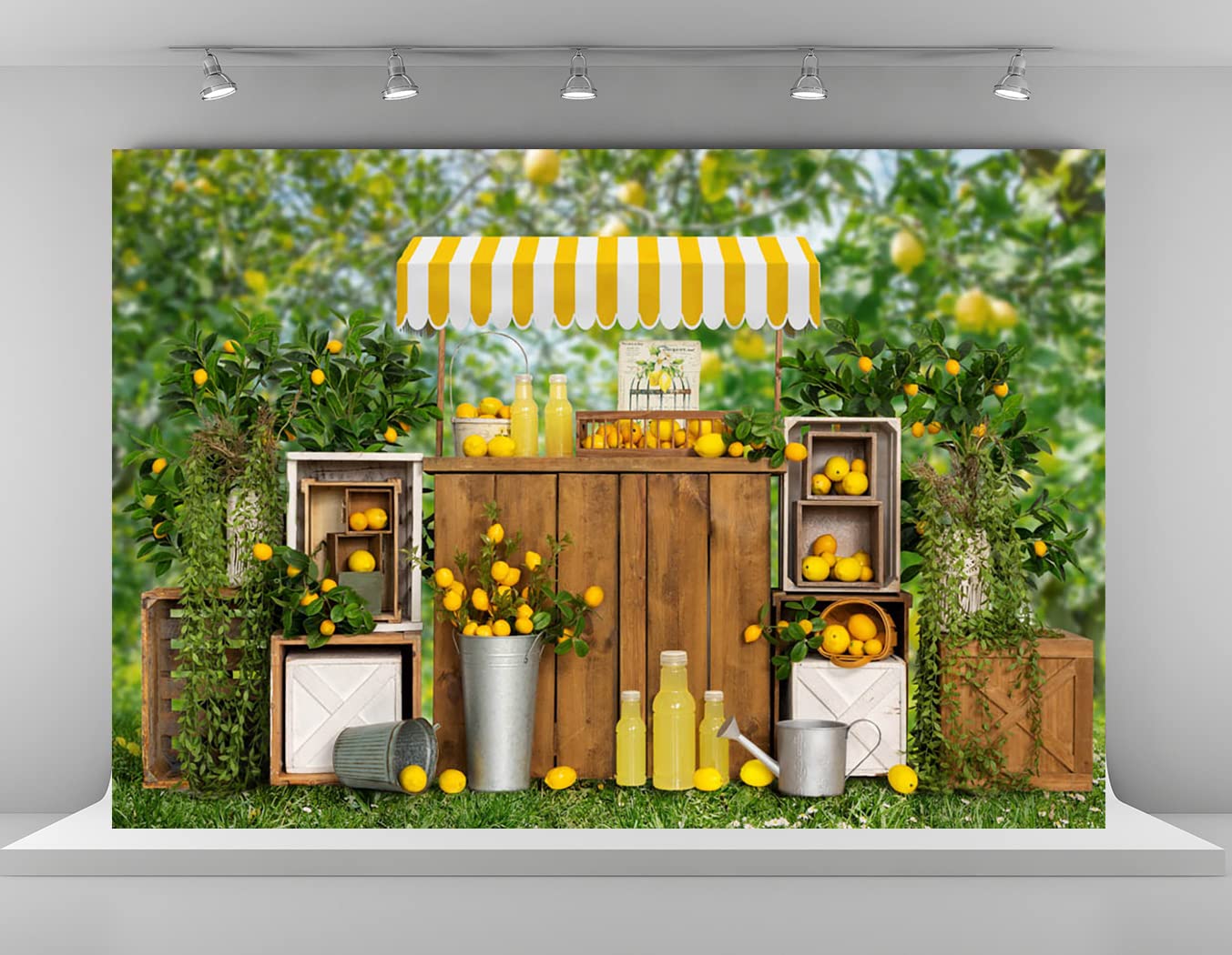 Amazon.com : Kate 7x5ft Summer Lemon Shop Backdrops for Photography ...