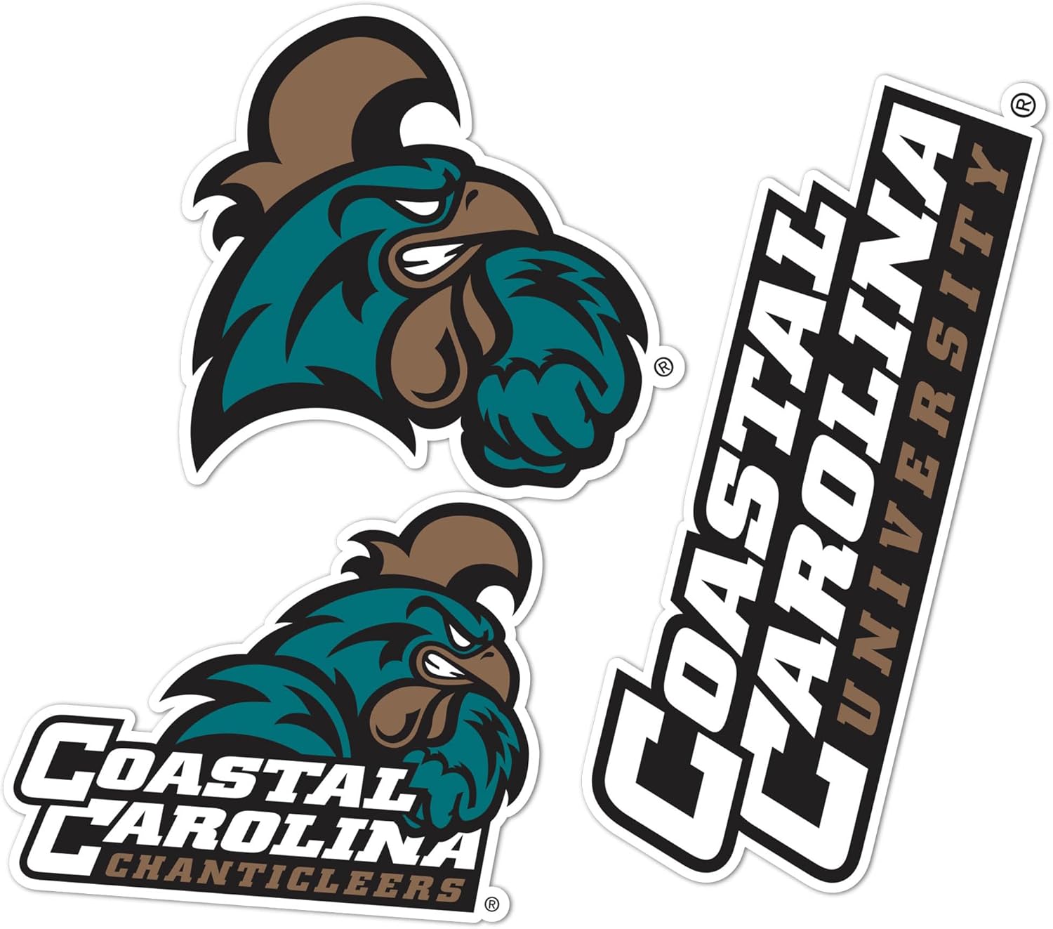 Amazon.com: Desert Cactus Coastal Carolina University Sticker ...