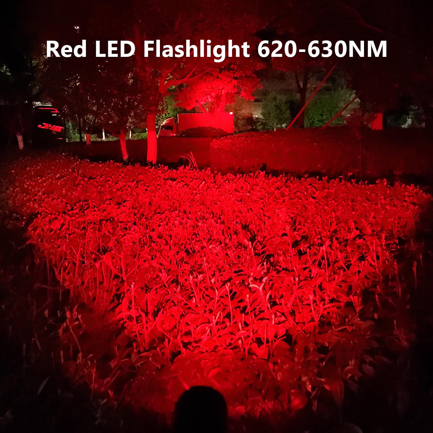 Snapklik.com : Red Light Flashlight Rechargeable, 620-630nm Red ...