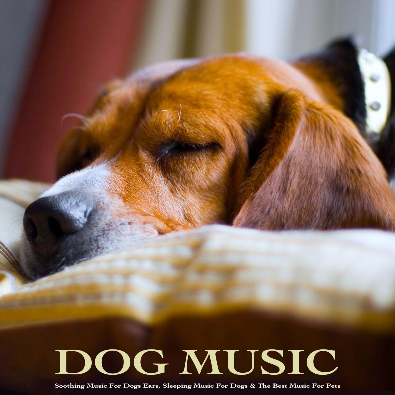 Reduce Anxiety with My Dog song by Dog Music Dreams, Dog Music Therapy ...
