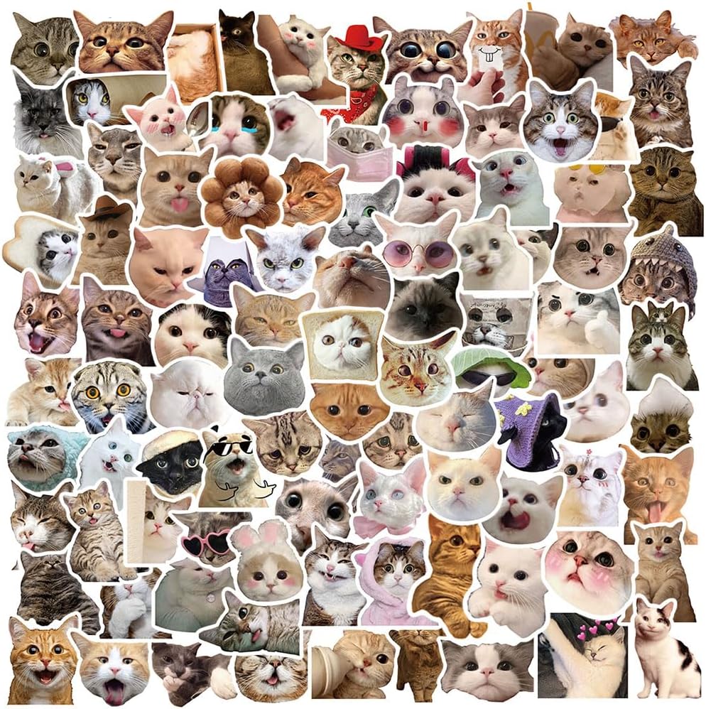 Amazon.com: insidemoon 100 Pieces Funny Cat Stickers,Cute Cats Meme ...