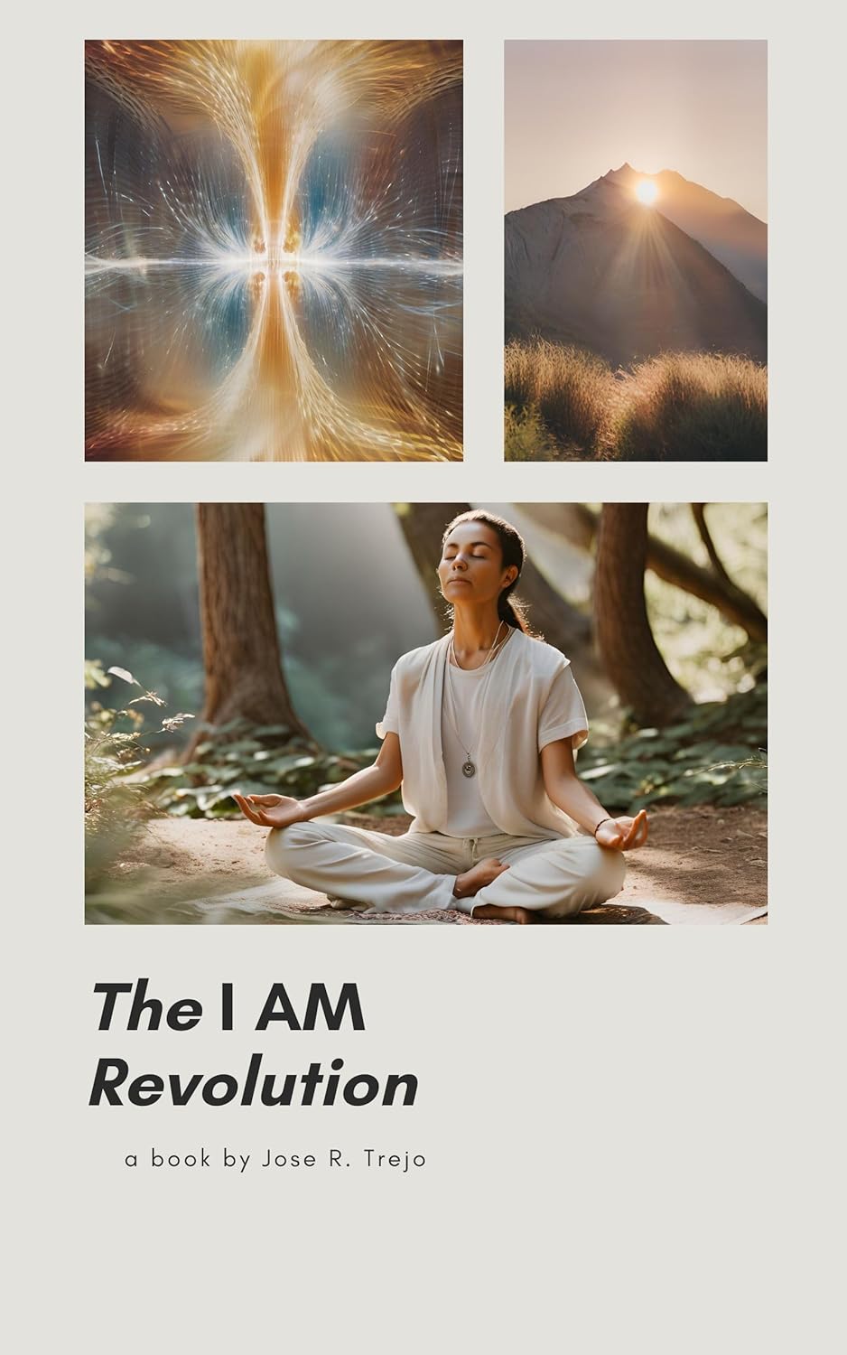 Amazon.com: The I AM Revolution: A Blueprint for Conscious Creation and ...