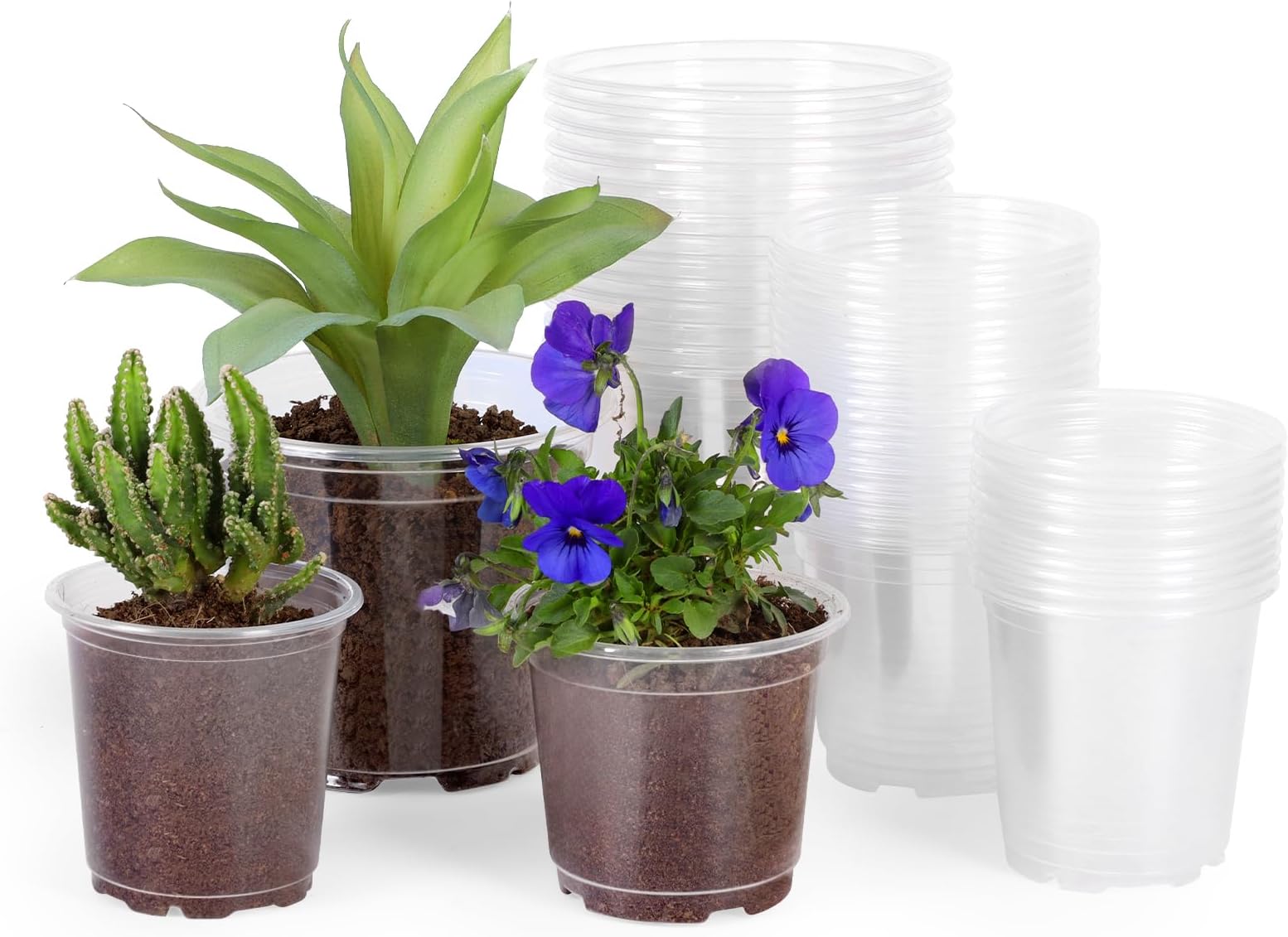 Amazon.com: 40 Pcs Clear Nursery Pots for Plants with Humidity Domes 3. ...