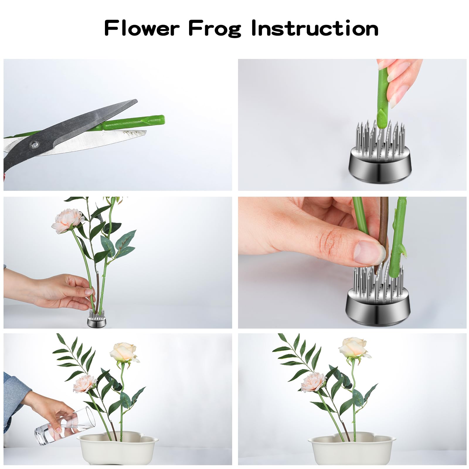 Snapklik.com : Geiserailie 12 Pcs Flower Frog Holder 0.92 Inch Mini ...