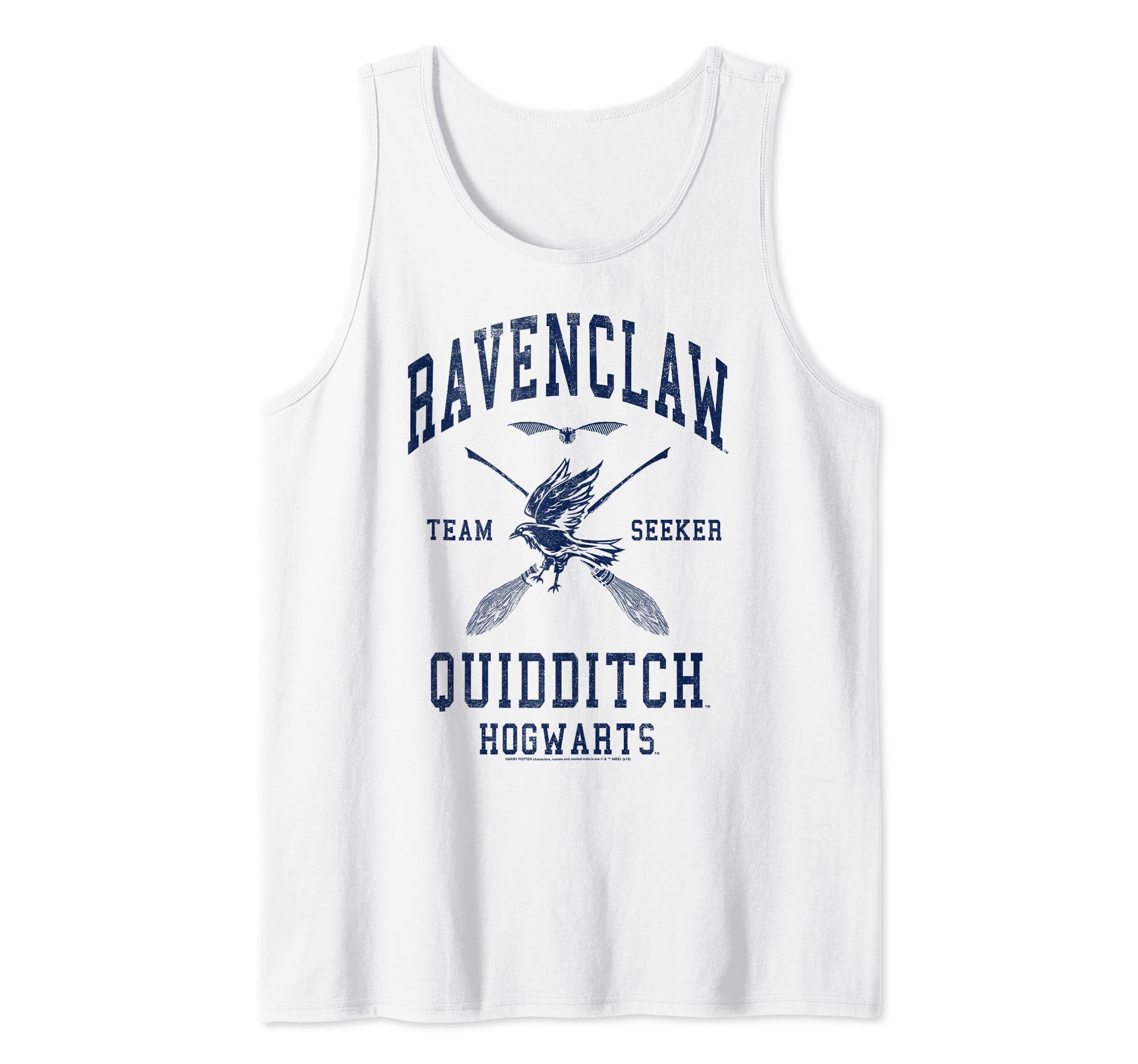 Amazon.com: Harry Potter Ravenclaw Quidditch Team Seeker Collegiate ...