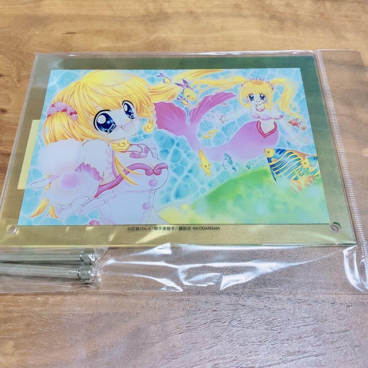 Amazon.co.jp: ぴちぴちピッチ AMNIBUS POP UP SHOP A5アクリルパネル るちあ Ver.A : おもちゃ