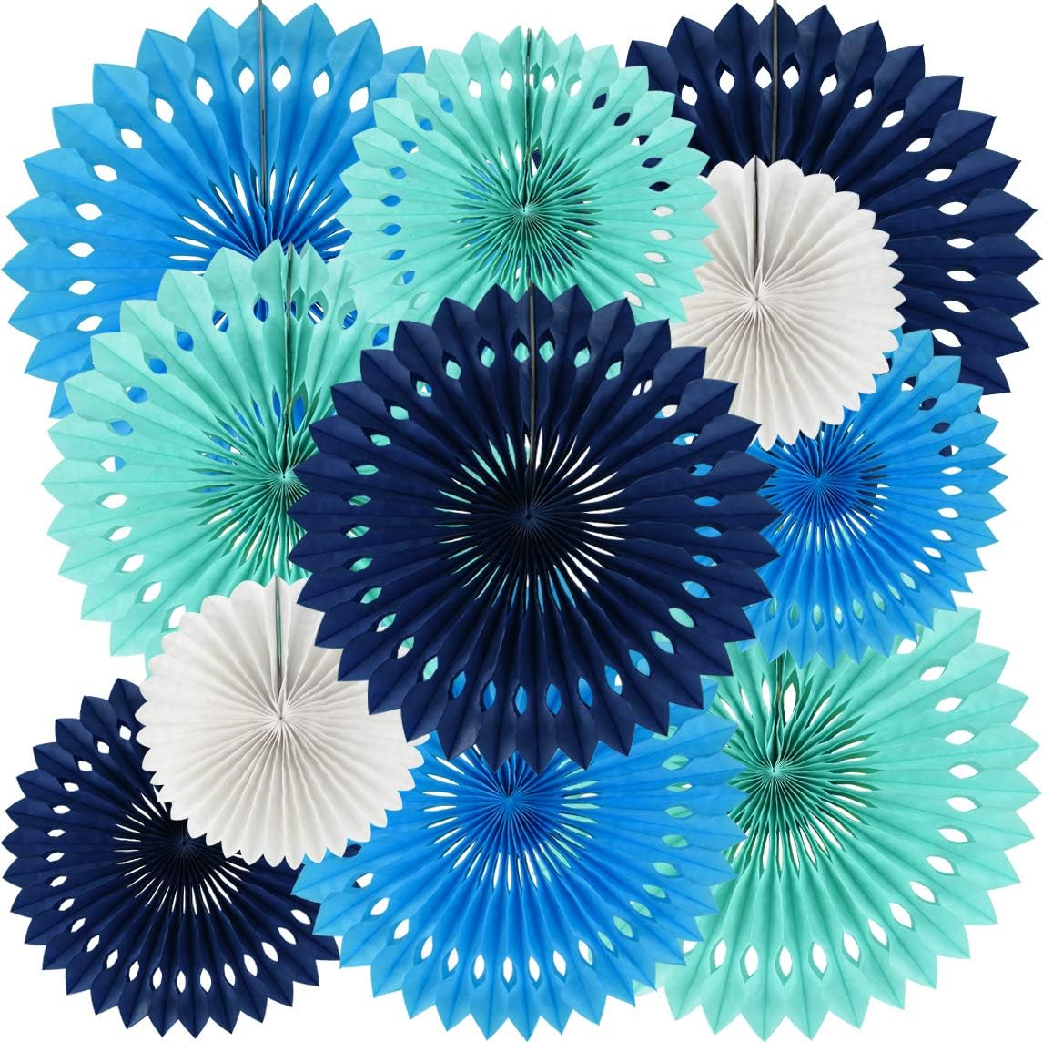 Amazon.com: Recosis Hanging Paper Fan Set, Tissue Paper Pom Poms Flower ...