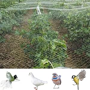 33 x 16 Ft Anti Bird Net Reusable Nylon Anti Bird Mesh Netting Garden Bird Netting Protect ...
