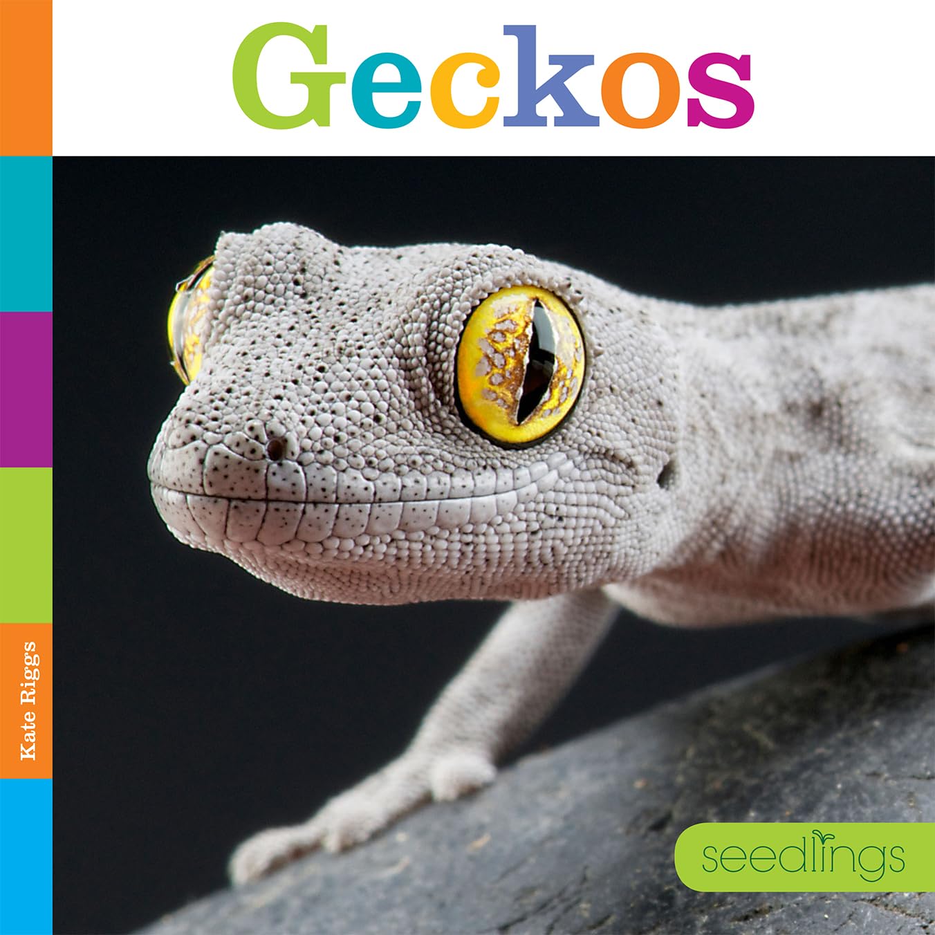 Seedlings: Geckos: Riggs, Kate: 9781628324839: Amazon.com: Books