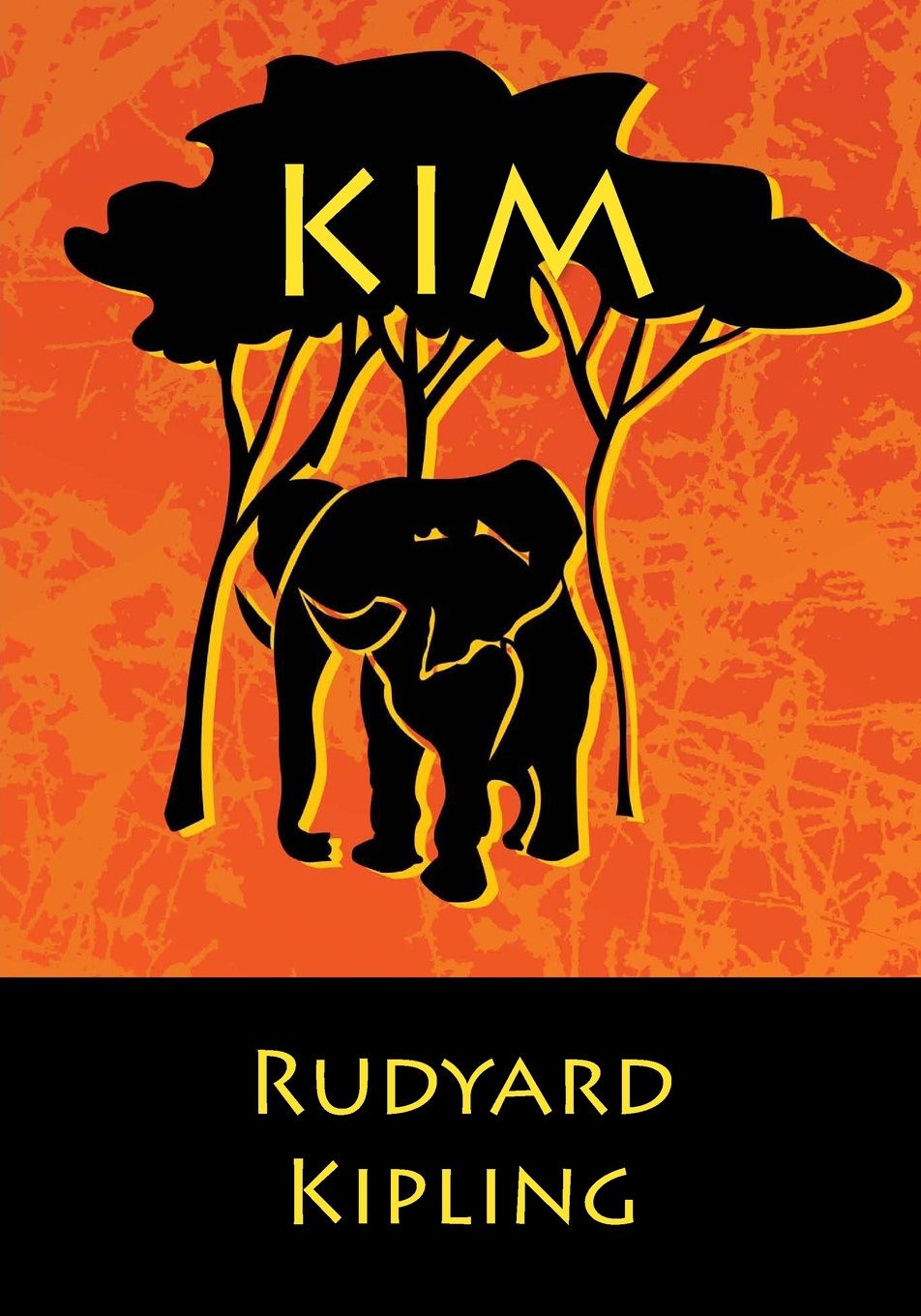 Amazon.com: Kim: 9781613824986: Kipling, Rudyard: Books