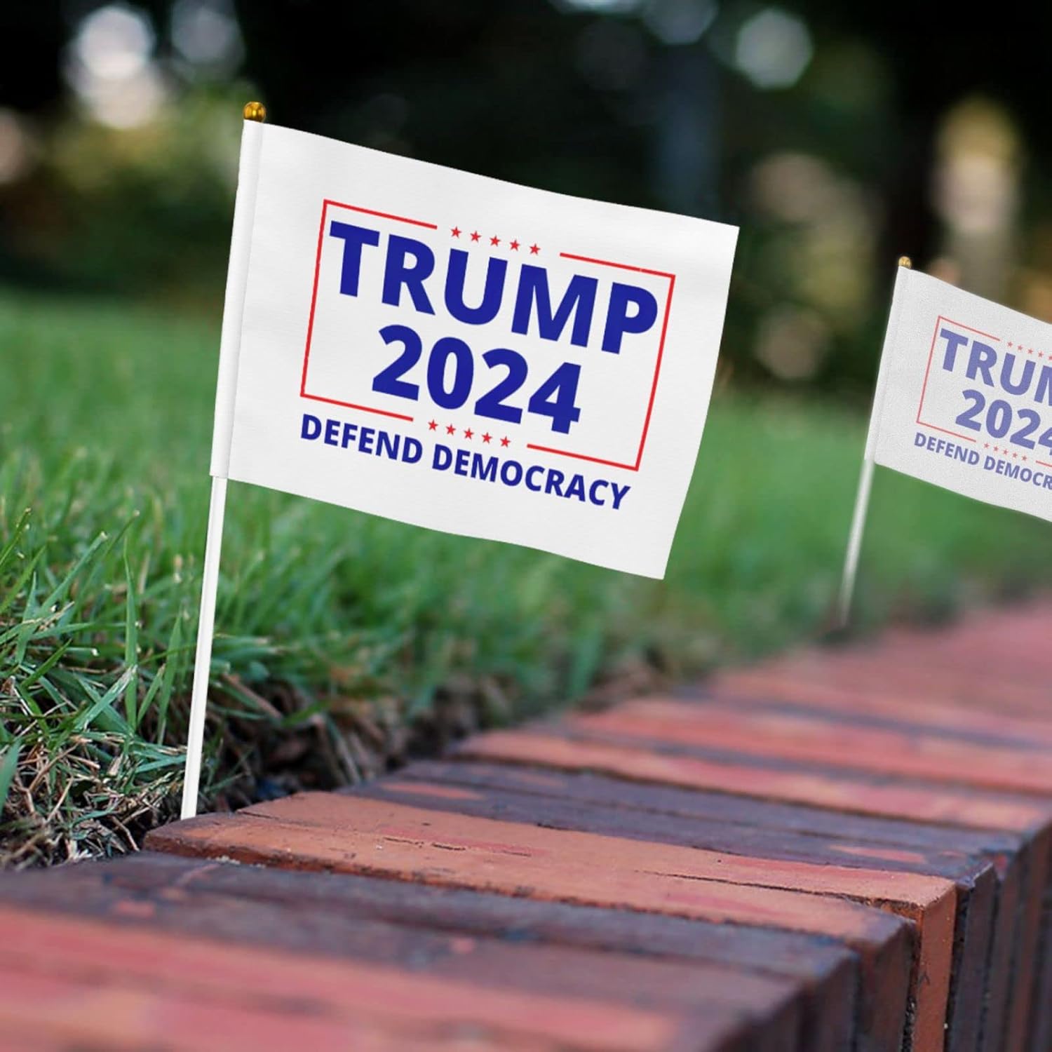 Buy Defend Democracy Handheld Flag Double Sided Flags Small Mini Stick ...