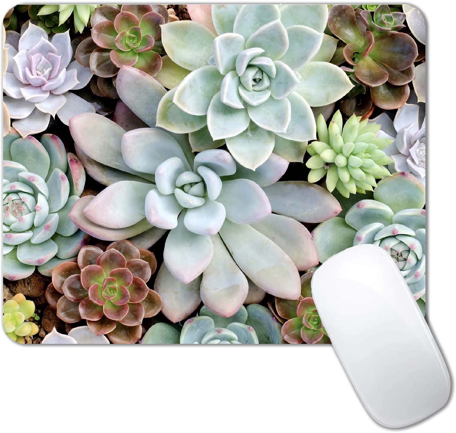 Amazon.com: Cute Succulents Mouse Pad, Natural Plants Mousepad for ...