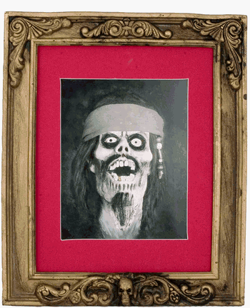 Amazon.com : Scary Pirate Picture Frame Halloween Prop : Outdoor Decor ...