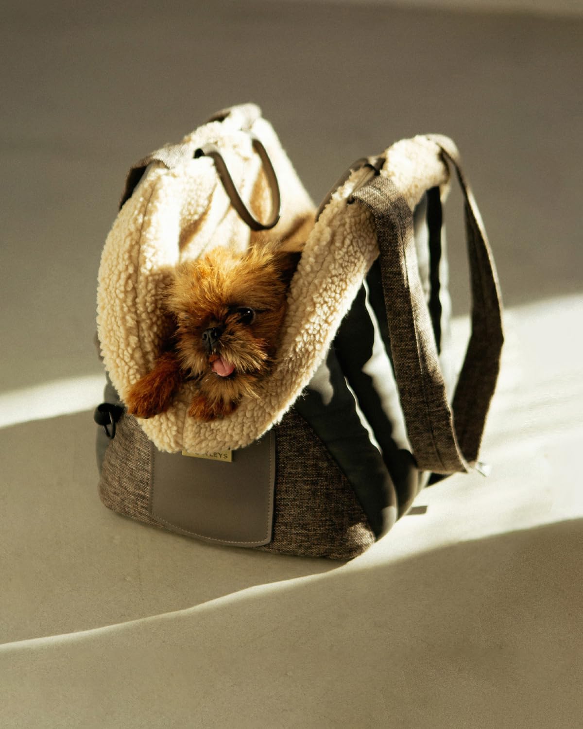 Amazon.com : Owleys Dog Purse Carrier for Small Dogs - Dog Carrier ...