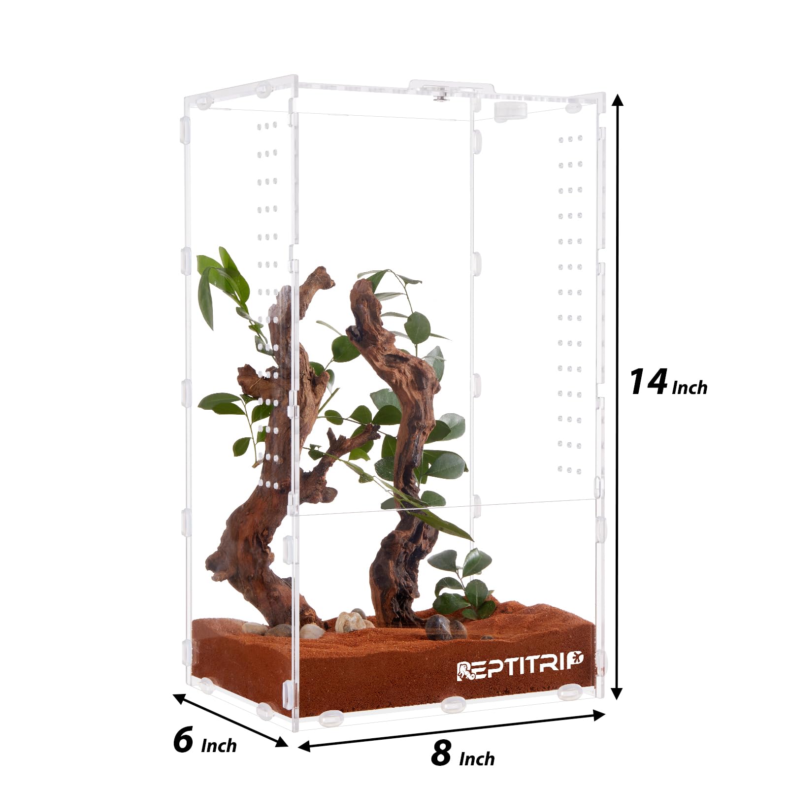 Snapklik.com : Jumping Spider Enclosure, Tarantula Larvae Enclosure ...