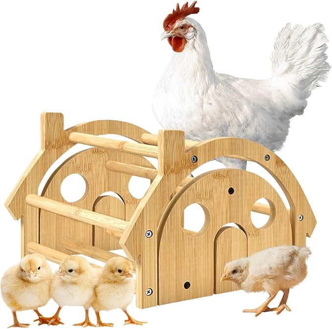 Amazon.com : Chicken Perch Set Bamboo Chick Roosting Ladders Chicks ...
