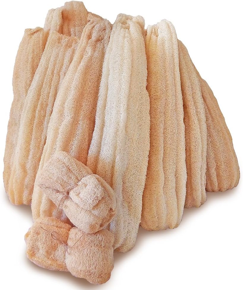Amazon.com: (1) JUMBO Whole Natural Egyptian Loofah - Hand Sorted ...