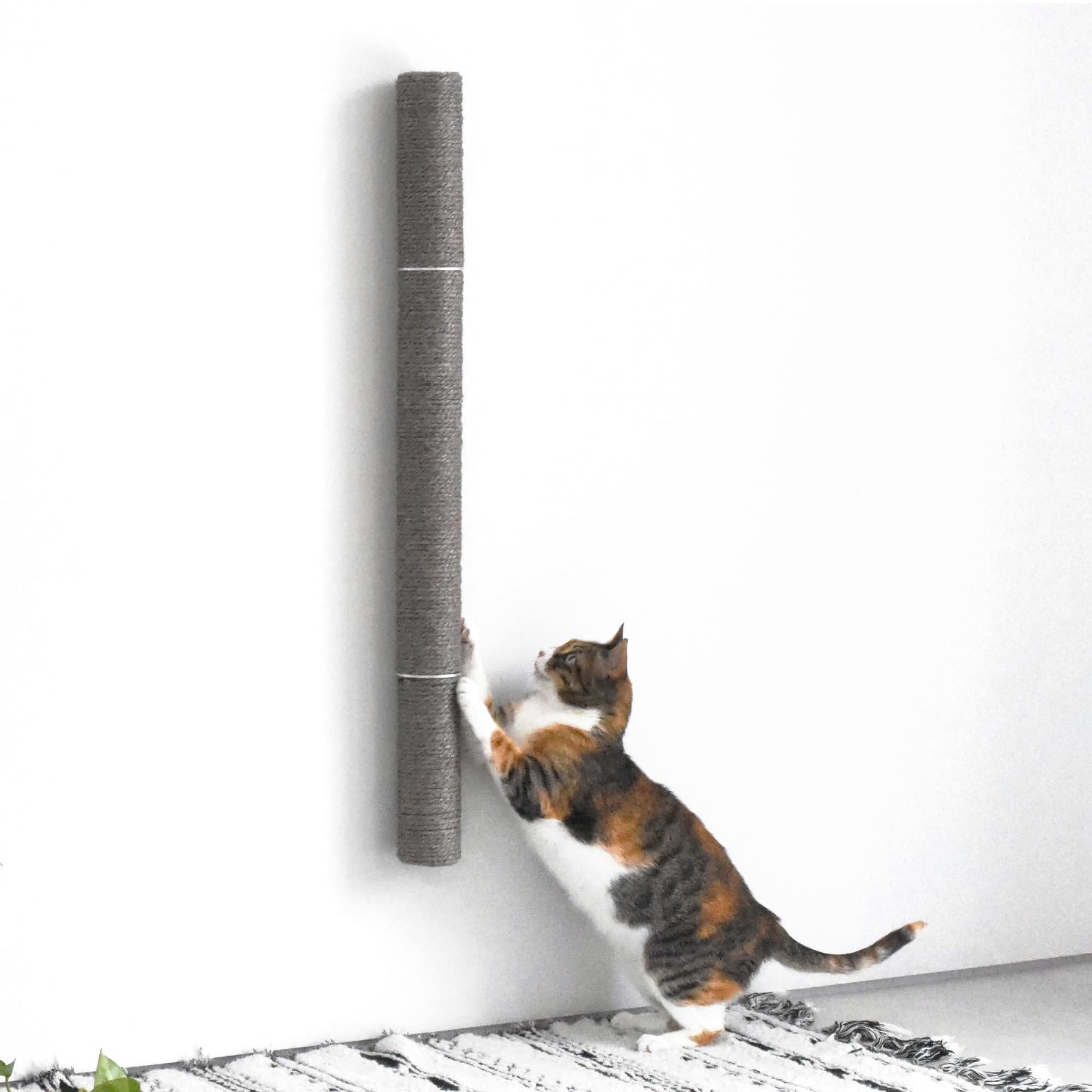 Amazon.com : xympo 34" Wall Mounted Cat Scratcher, Sisal Scratching ...