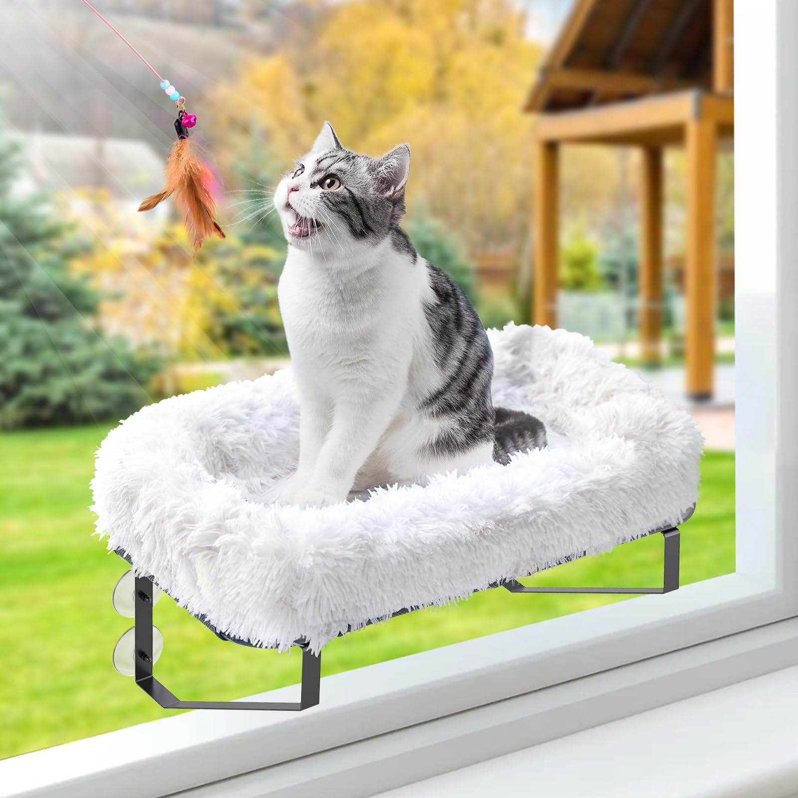 Amazon.com : HIPCAT Cat Window Perch with Free Cat Toy - Cat Bed ...