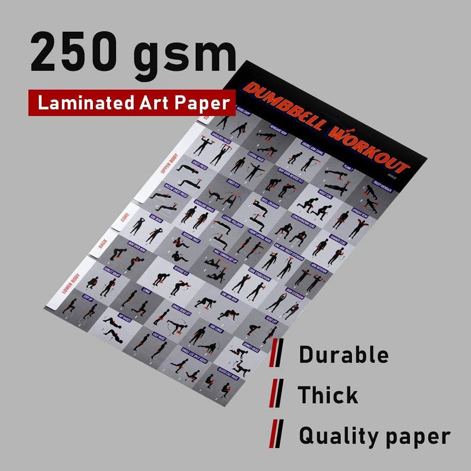 Workout Poster - Dumbbell Exercise Poster Laminated, Free Weight ...