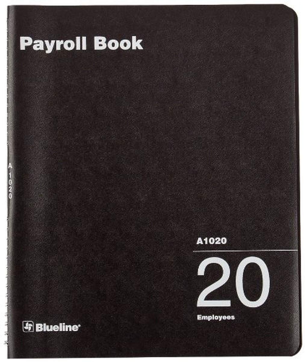 Blueline Payroll Book, Twin-Wire Binding, Book for 20 Employees, 12 ...