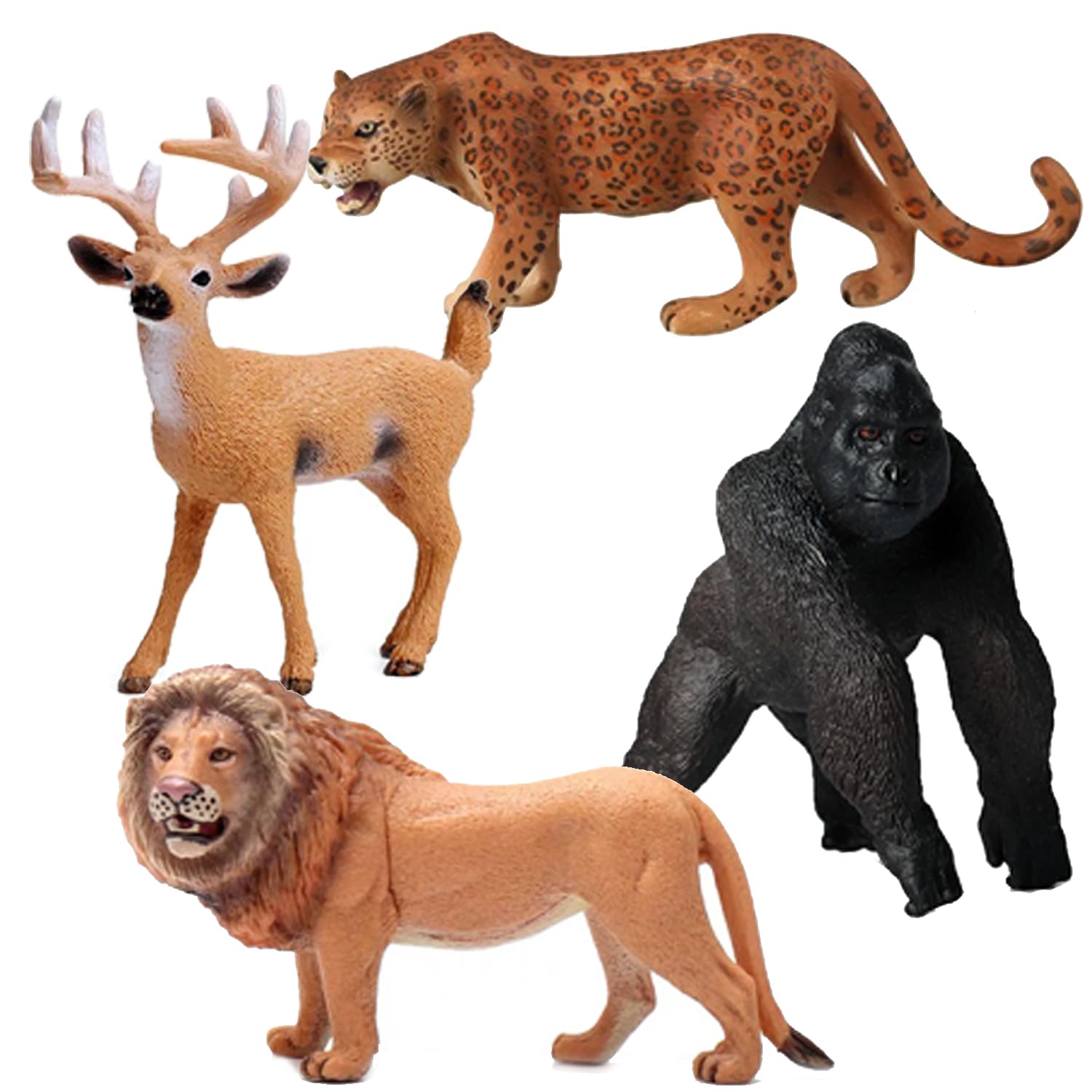 Predatory Animals In Action