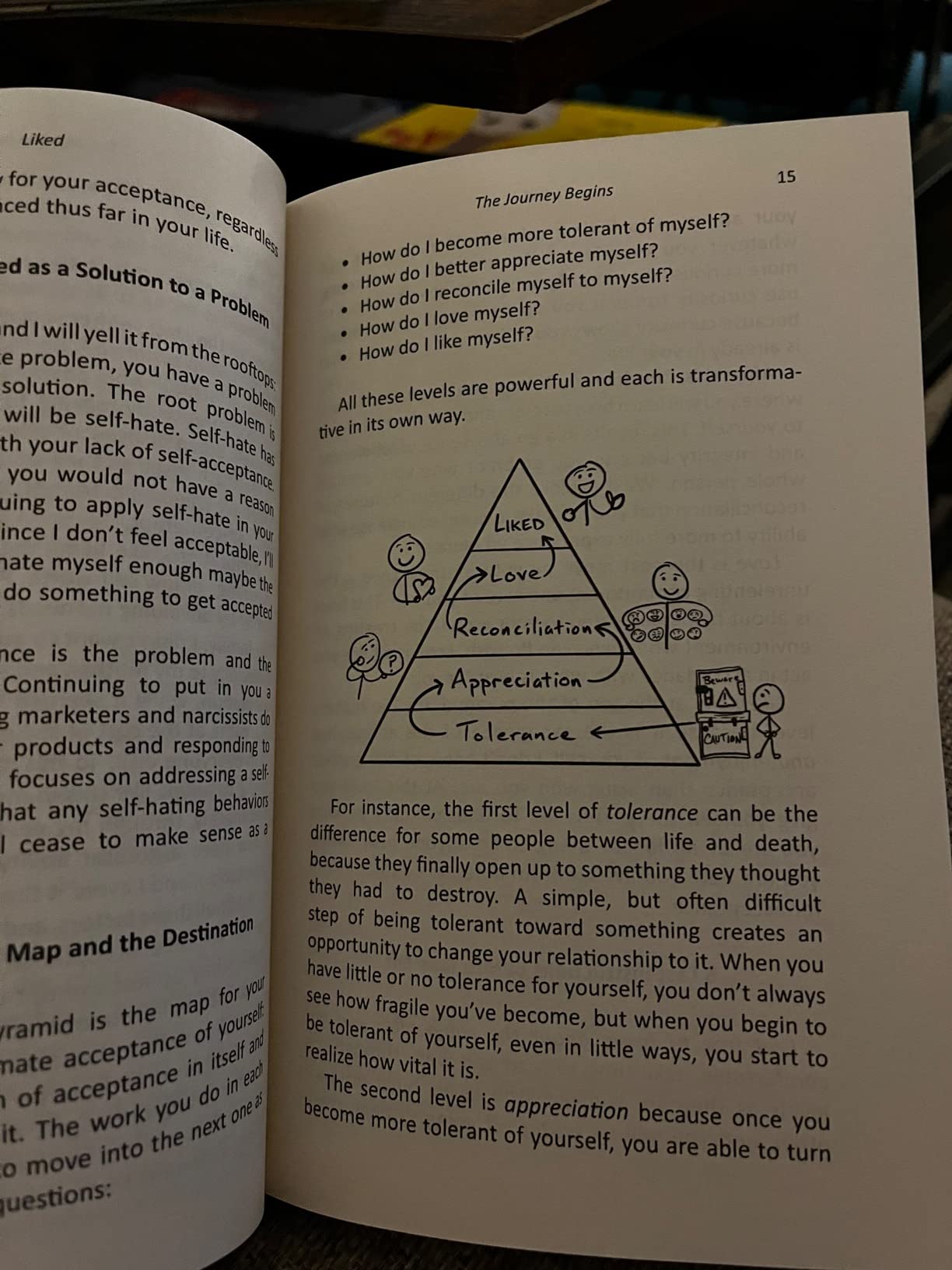 Liked: Finding the Acceptance that Matters Most - Kindle edition by ...