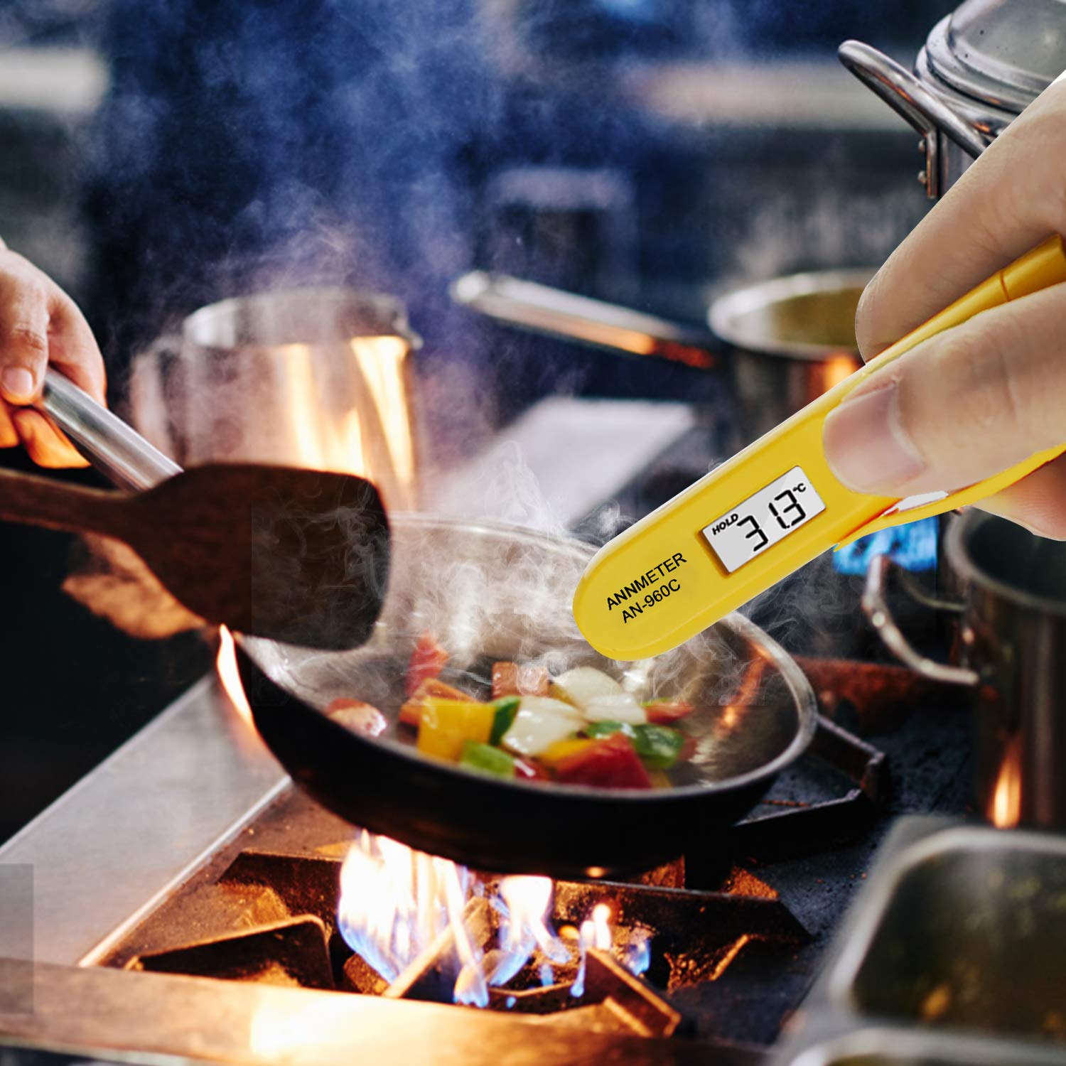 Snapklik.com : AIOMEST Digital Mini Thermometer Pen, Mini Infrared ...