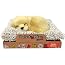 Amazon.com: Perfect Petzzz Original Petzzz Chocolate Lab, Realistic ...