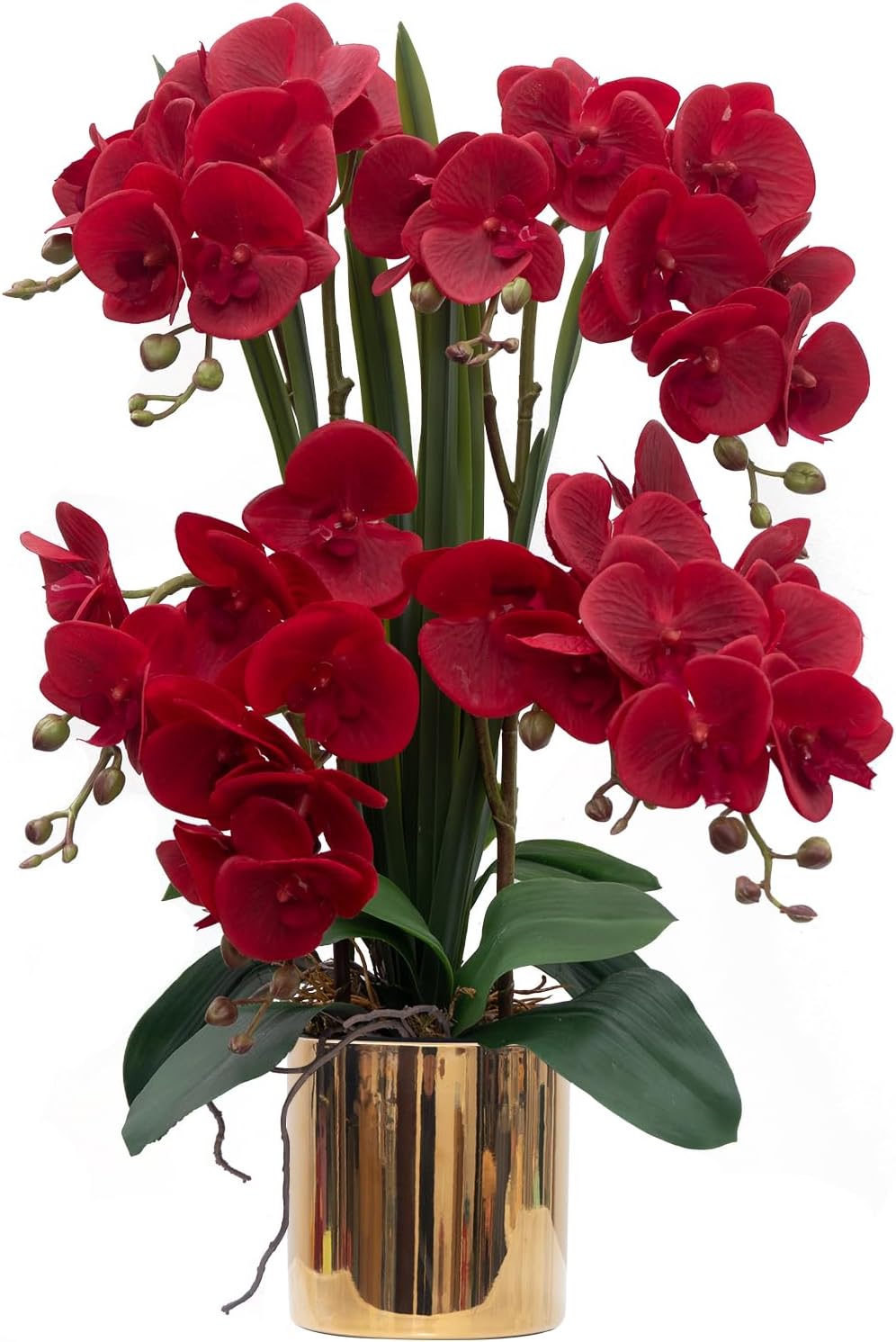 Amazon.com: CXGS Artificial Orchid Flower Plants Real Touch Faux ...