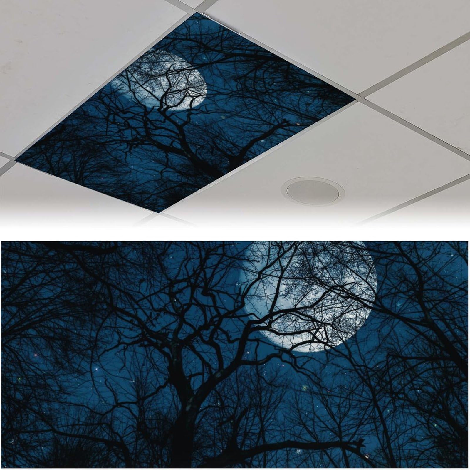 2x4 Fluorescent Light Lenses