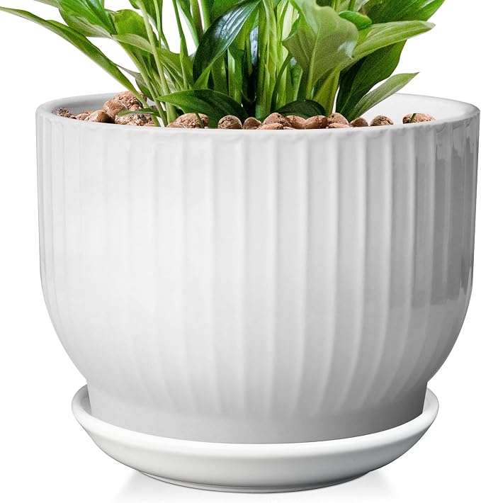 Amazon.com: YUFDA 8 Inch Ceramic Planter, Plant Pot with Drainage Hole ...