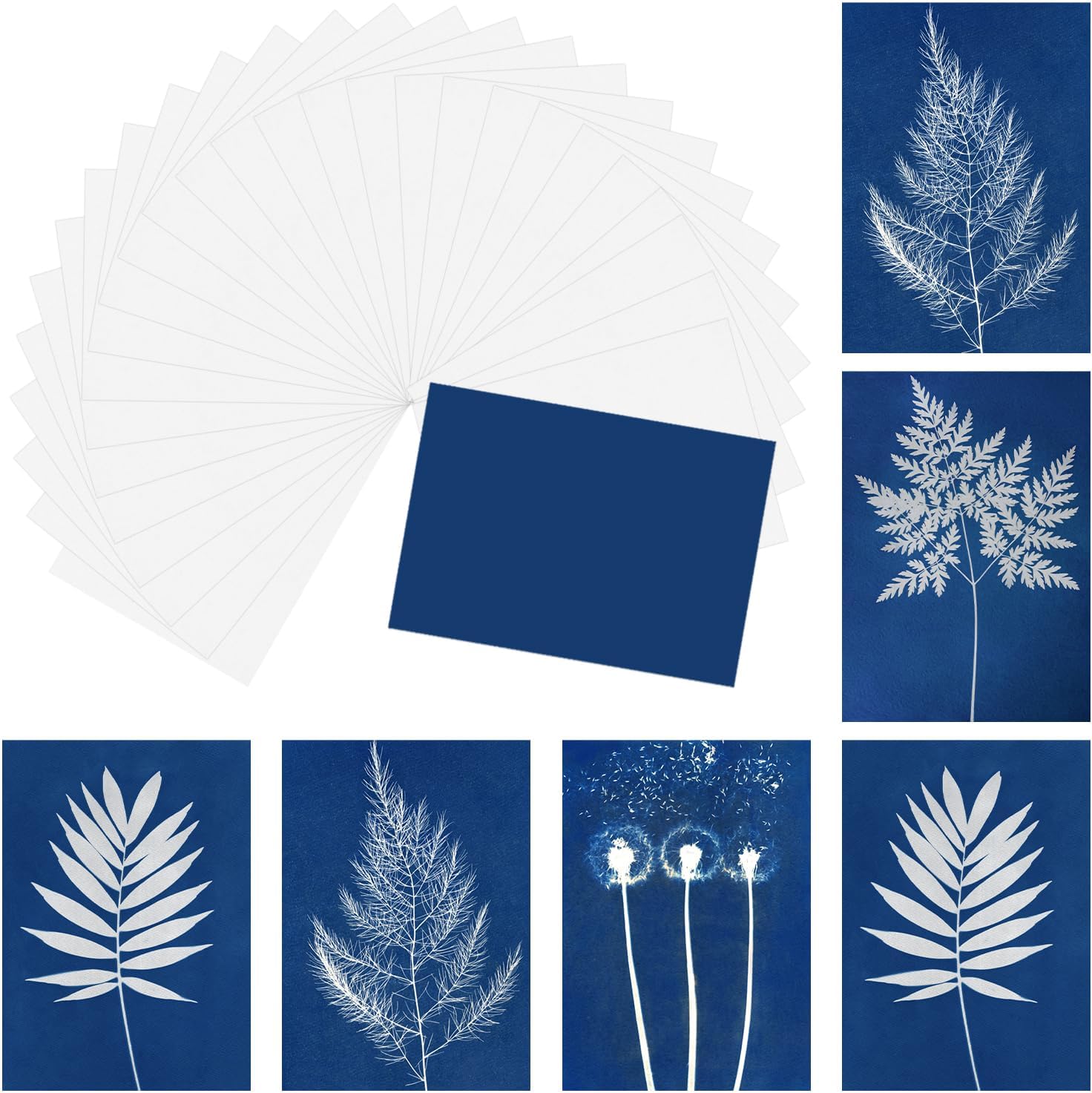 Amazon.com : MECCANIXITY Cyanotype Paper, 12 Sheet Sun Print Paper Kit ...