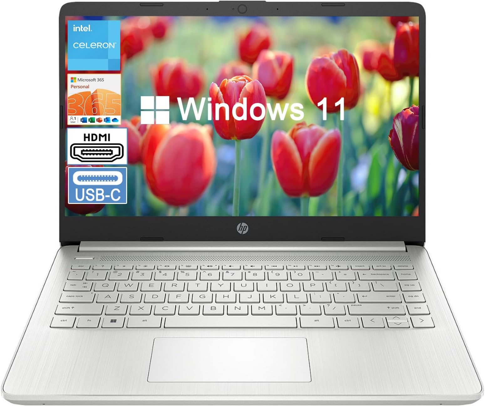 Amazon.com: ASUS Chromebook CX1 14" FHD Anti-Glare Laptop, Intel ...