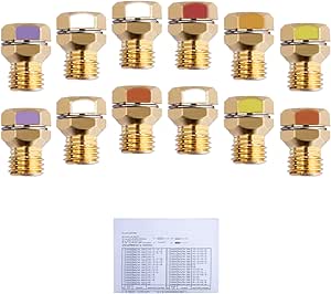 IWIWE GRLP4 LP Gas Conversion Kit | Gas To Propane Conversion Kit ...